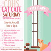 Cat Cafe Saturday | Central Dakota Humane Society